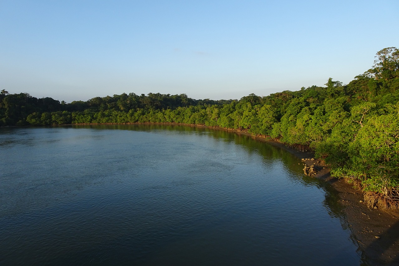 Hills Of Kerala Standard - vacationzmaker.com